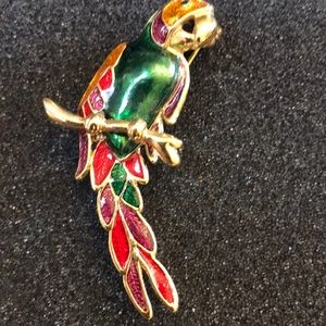 Jewelry | Parot Pin Brooch | Poshmark